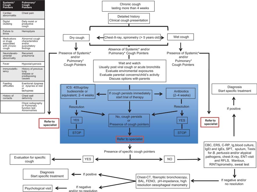 Chronic cough in childhood: A systematic review for practical guidance ...